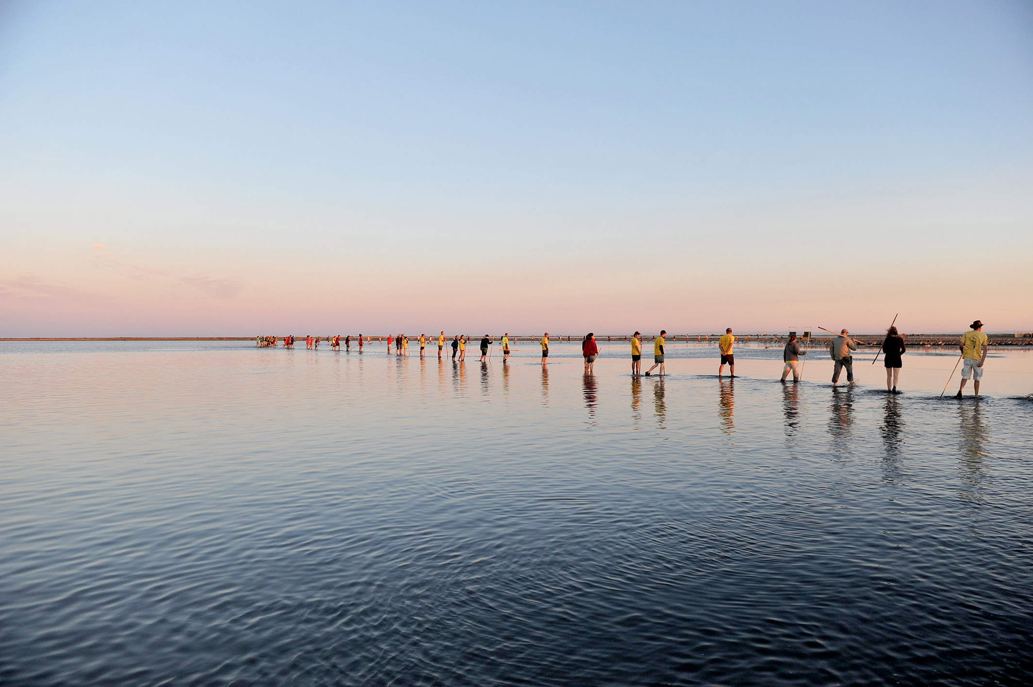 Support us - Tour du Valat