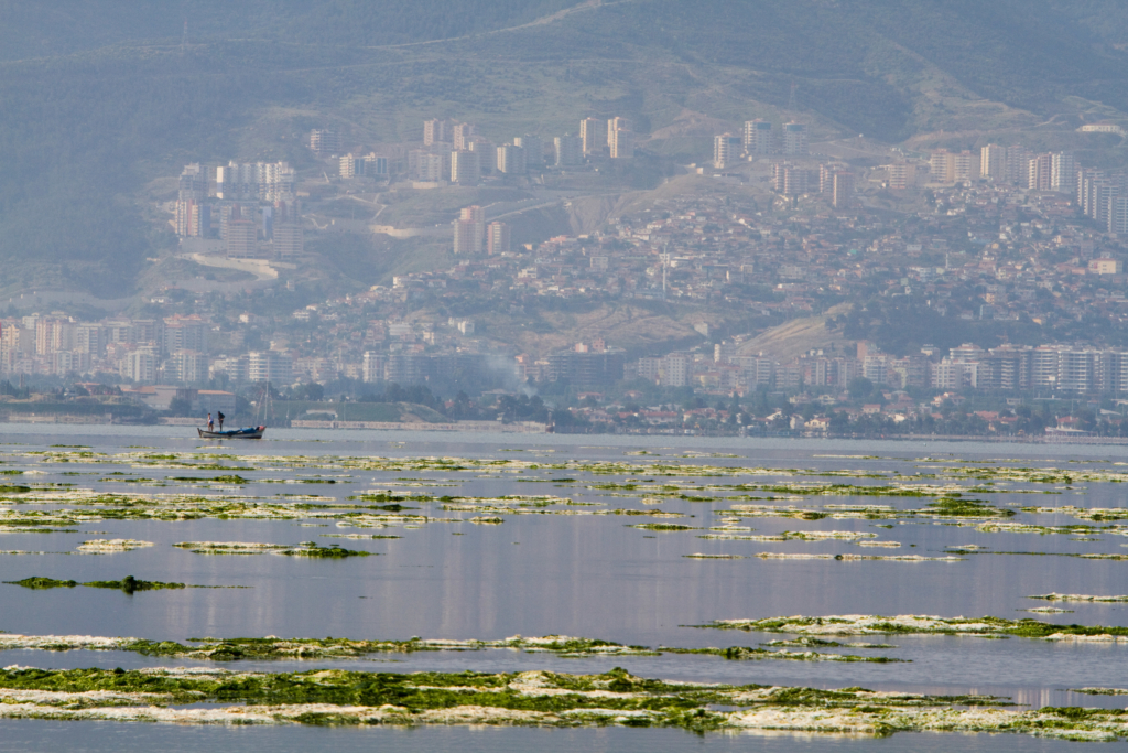 Threats, issues, and protection - Tour du Valat