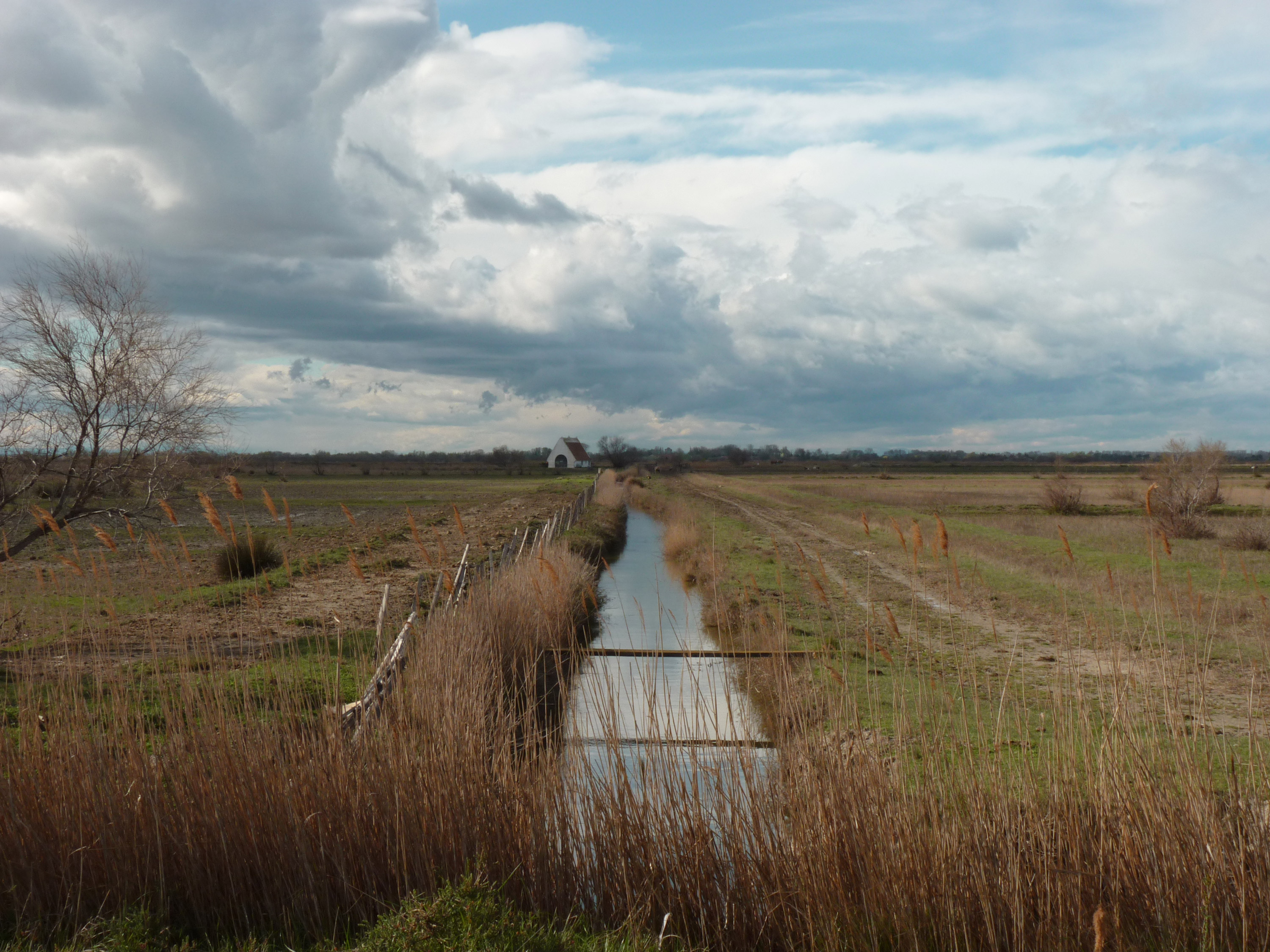 WetNet: coordinated management and networking of Mediterranean wetlands ...