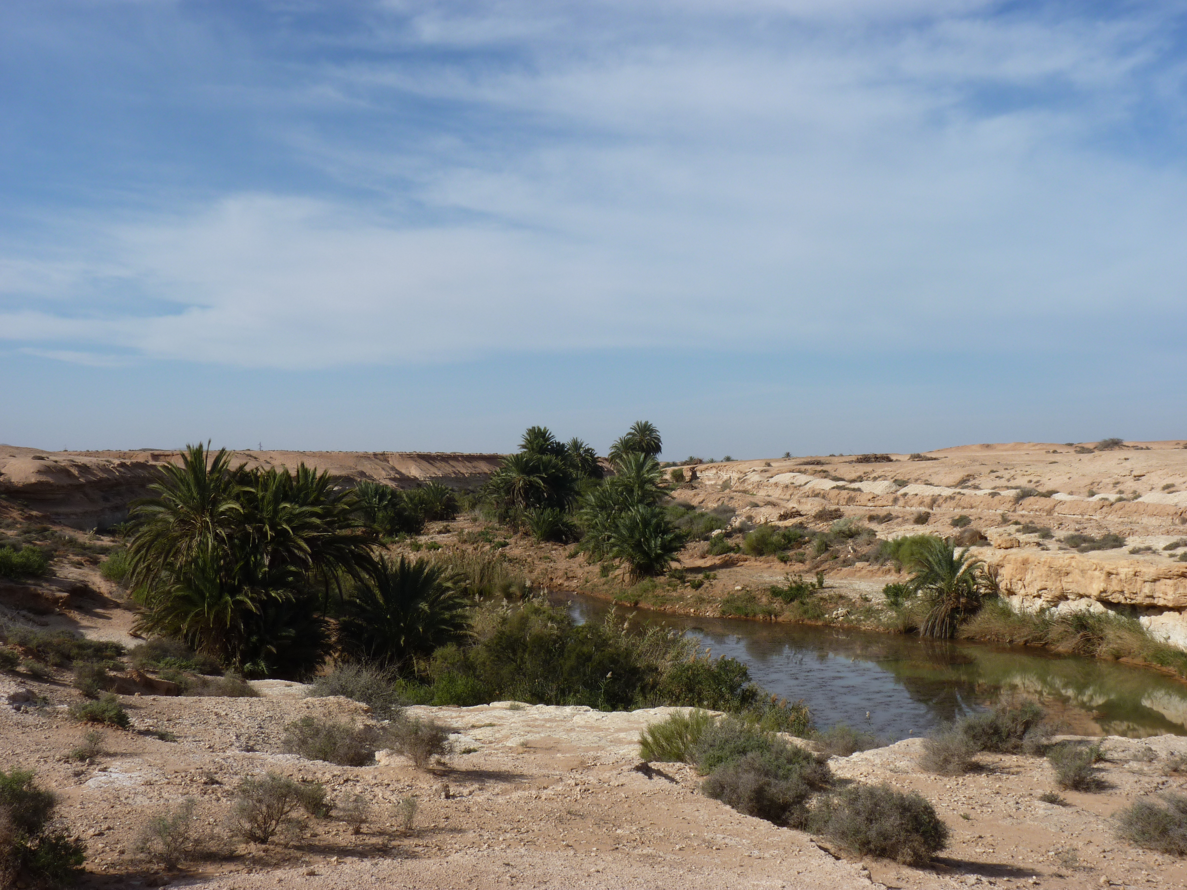 P1010269 – Tour du Valat