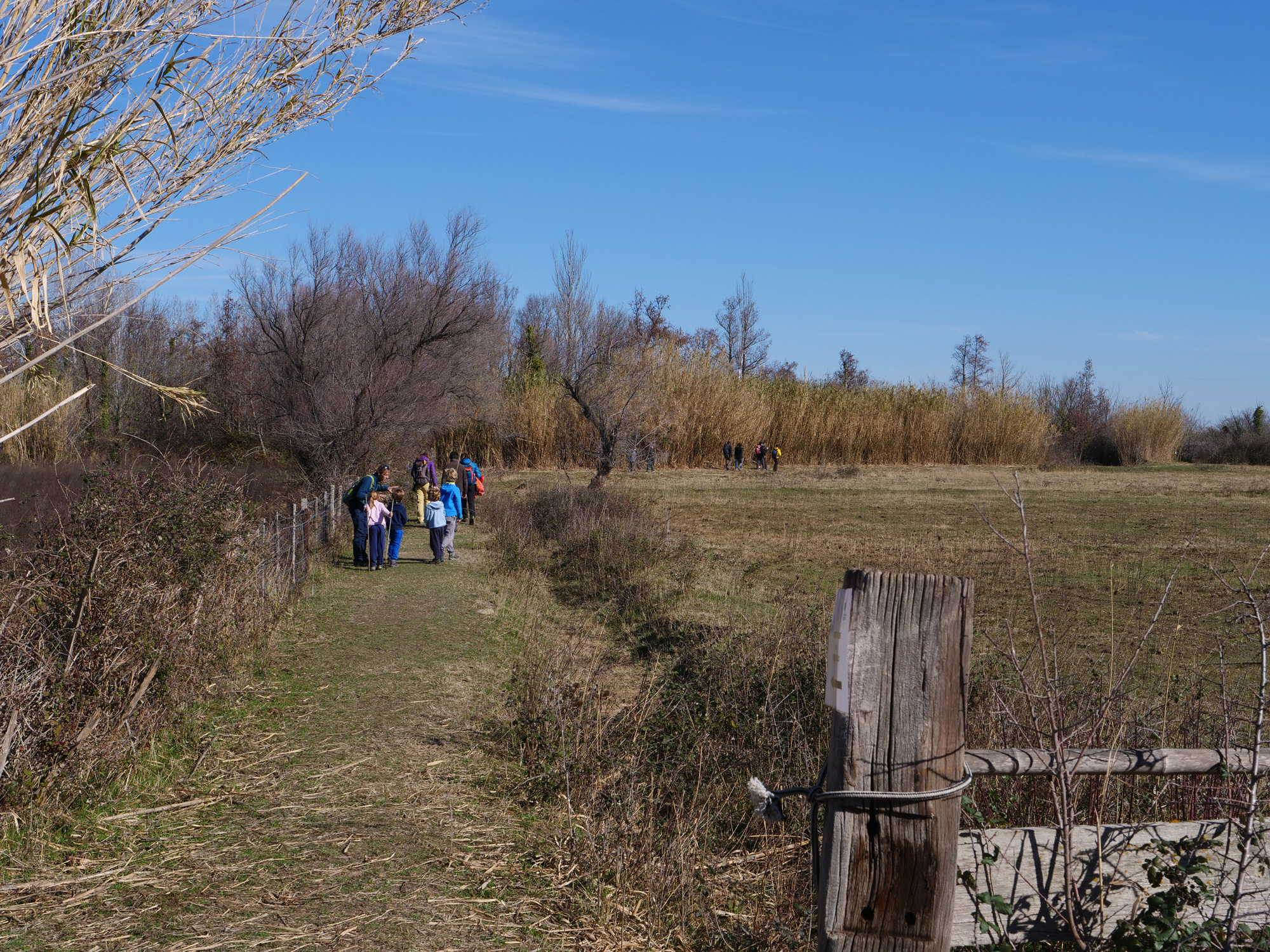 Succès des portes ouvertes 2018 à la Tour du Valat - Tour du Valat