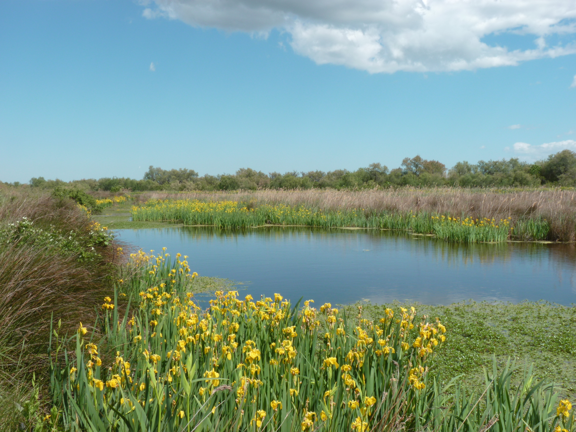 P1090455 – Tour du Valat