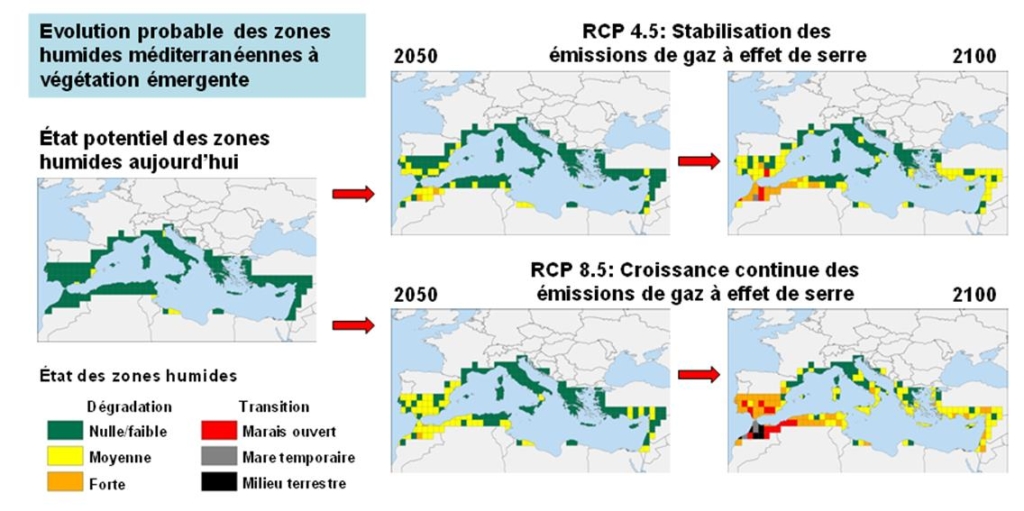article_marosel – Tour du Valat