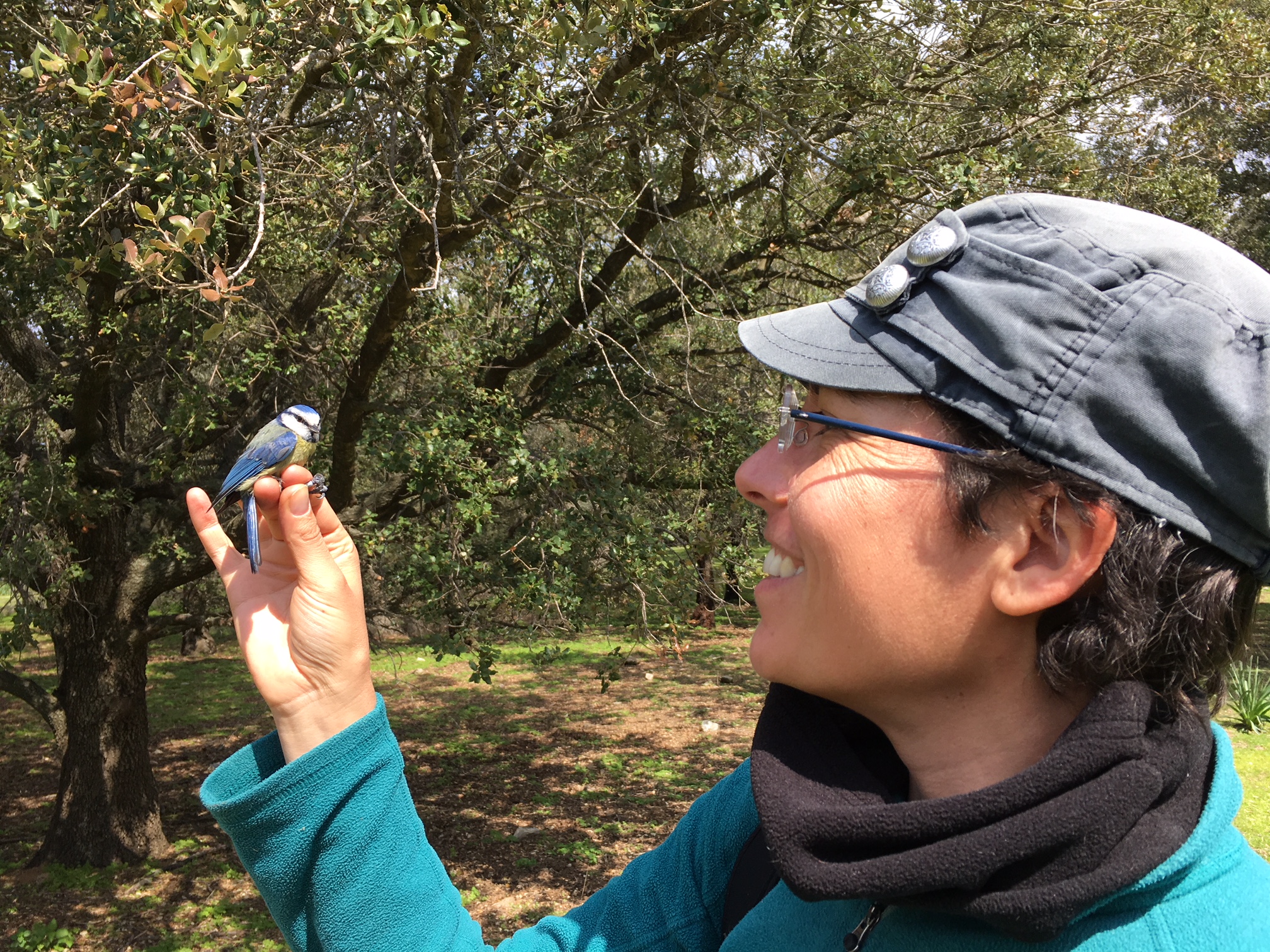 Heinz Hafner Lecture November 5th, 2019 – Anne Charmantier (CEFE-CNRS ...