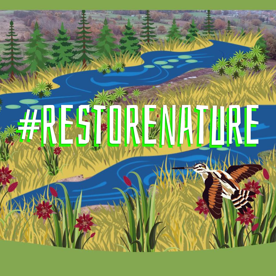 What should nature restoration across the EU look like ?– Until the 5th ...