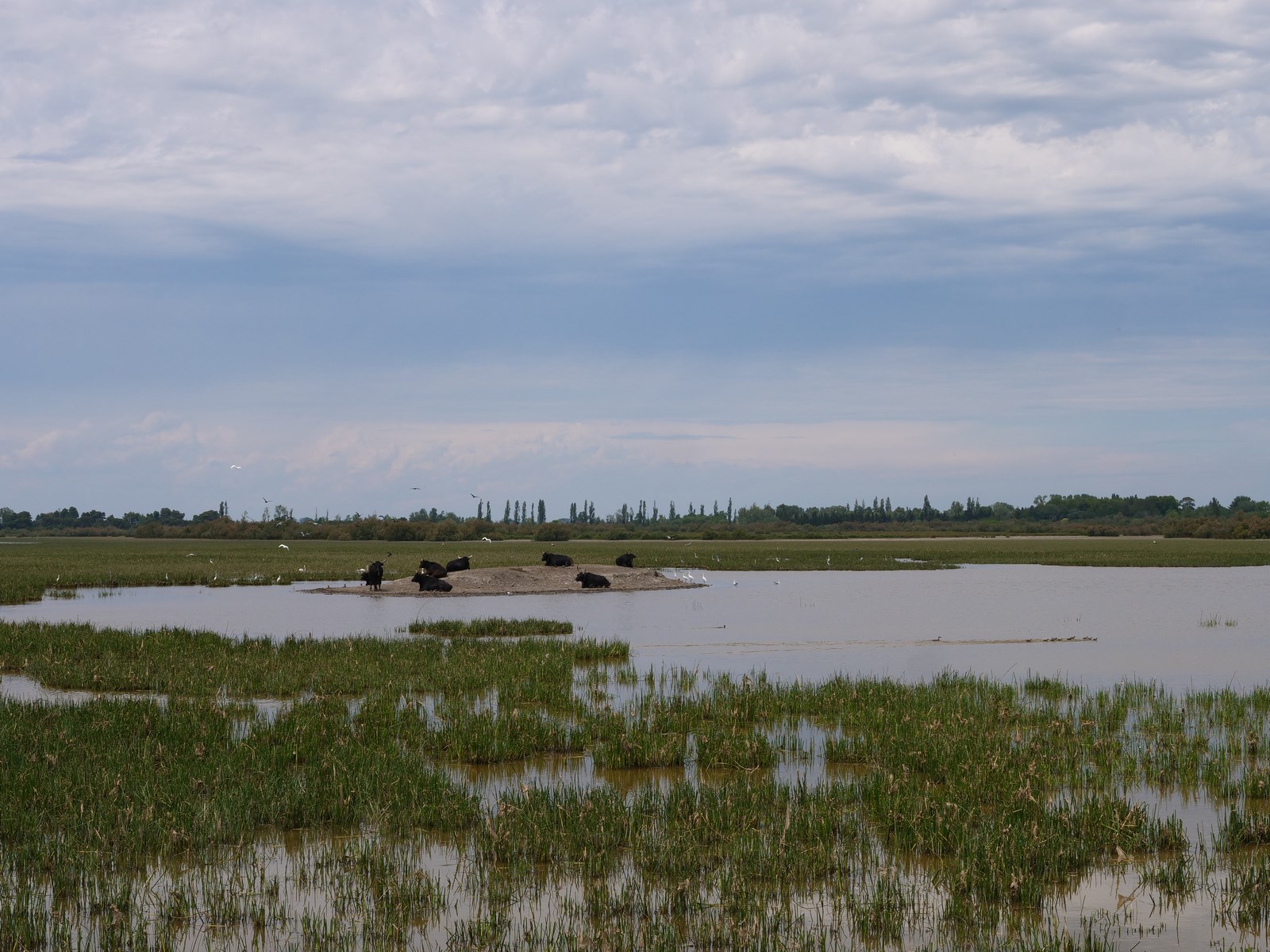 Le Domaine de la Tour du Valat inscrit sur la Liste verte des aires ...