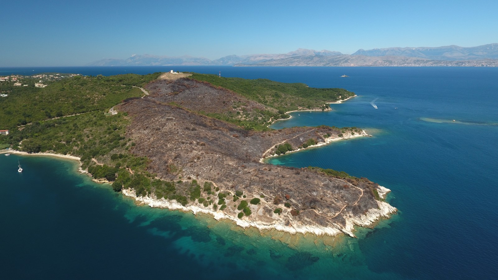 International environmental Alliance issues Red Alert to prevent ...