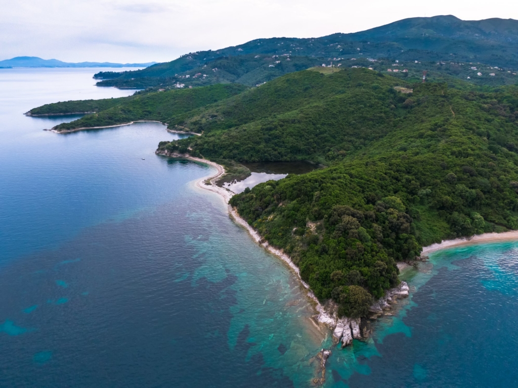 International environmental Alliance issues Red Alert to prevent ...