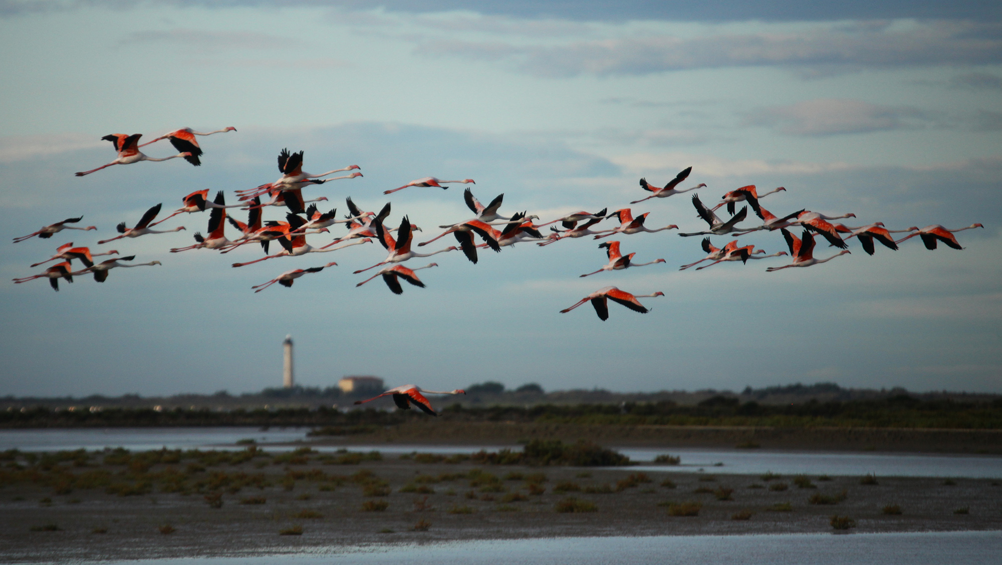 La Tour du Valat recherche un(e) service civique ambassadeur(drice ...