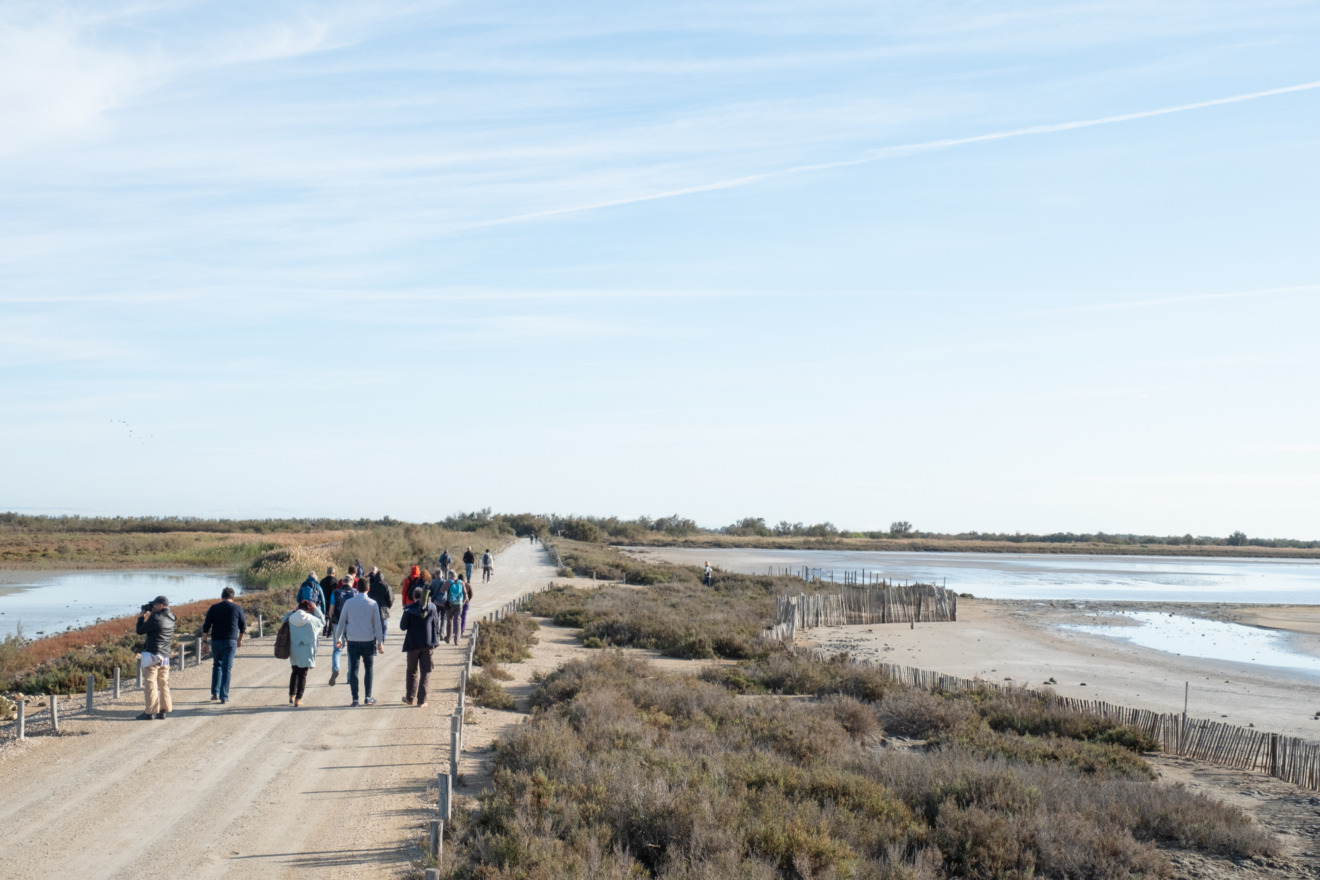 La réunion annuelle de Wetlands International accueillie à la Tour du ...