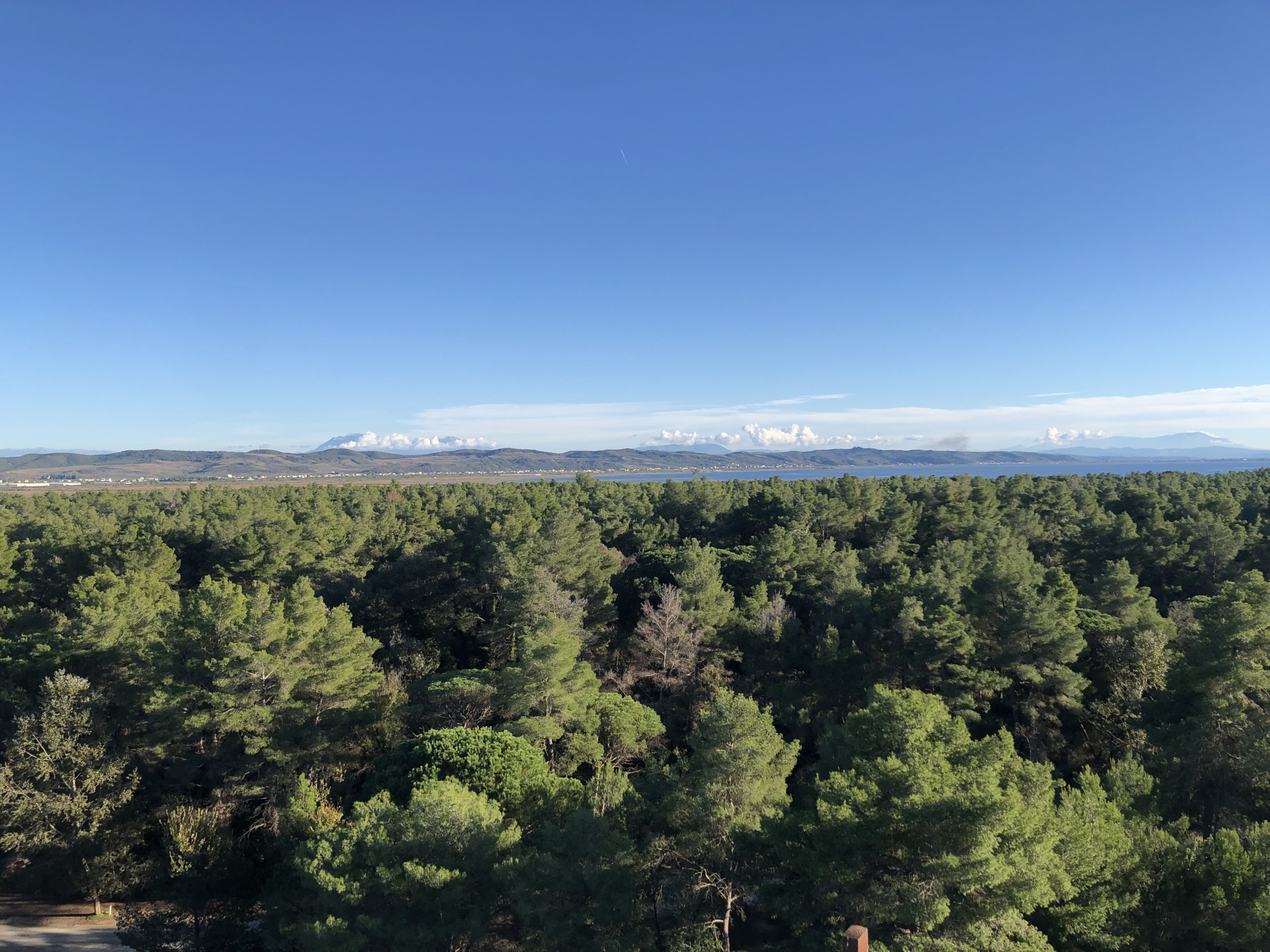 Forêt et lagune@M. Douchin-Tour du Valat – Tour du Valat