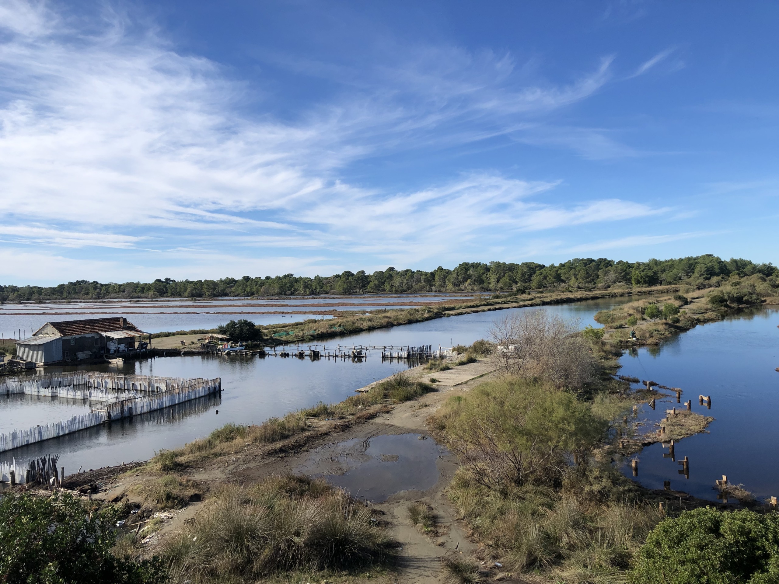Identification des activités du projet RESCOM en Albanie - Tour du Valat