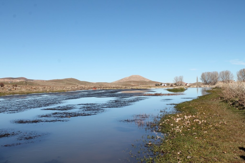 New article – Large-scale mapping of existing and lost wetlands: Earth ...