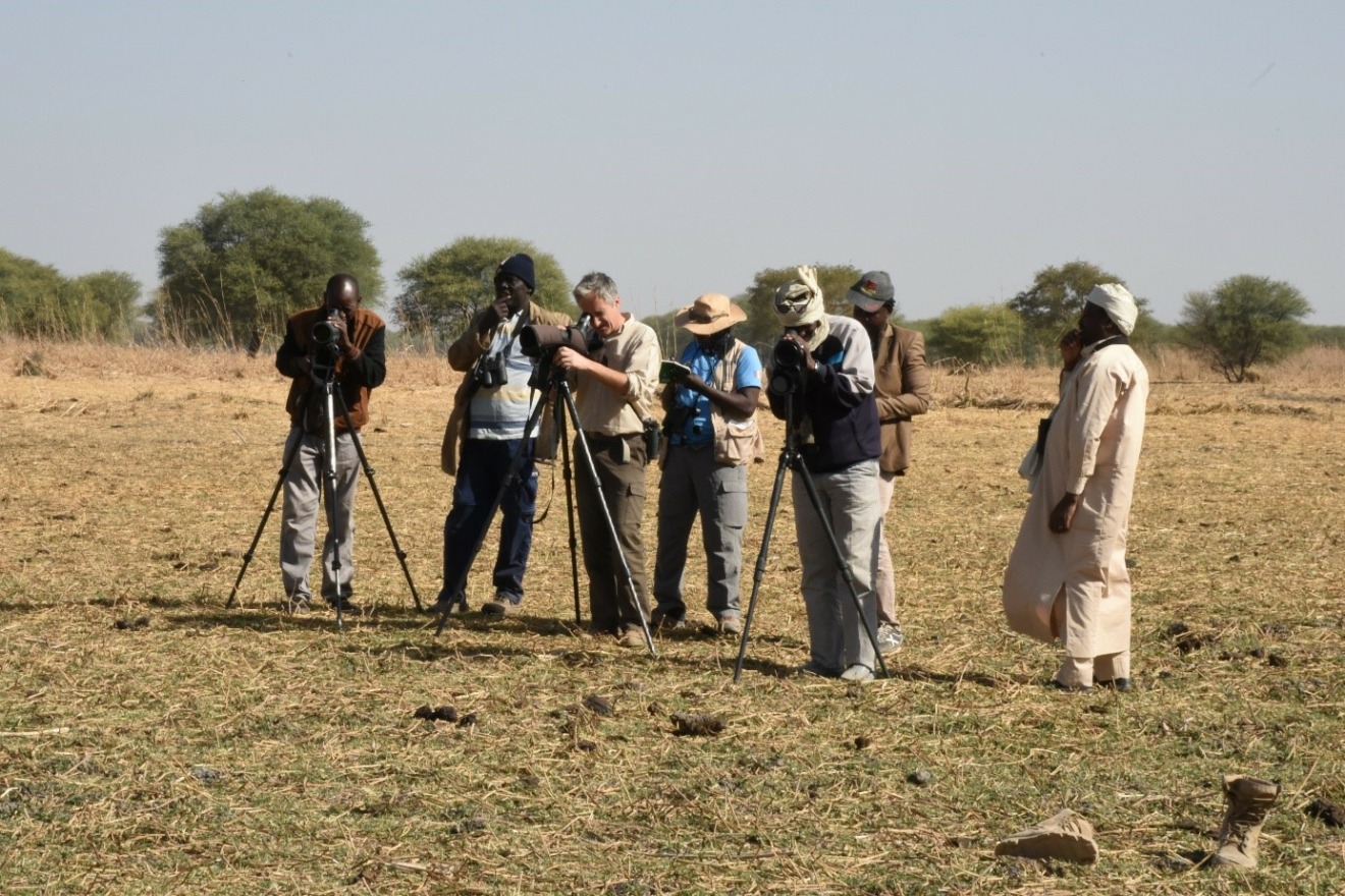 WATERBIRD CENSUSES on LAKE FITRI (CHAD) BY DFAP, WITH SUPPORT FROM LA ...