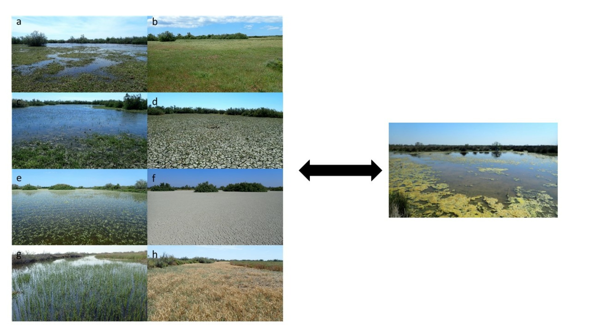 L’indice DRCI : un nouvel outil pour évaluer le succès de la ...