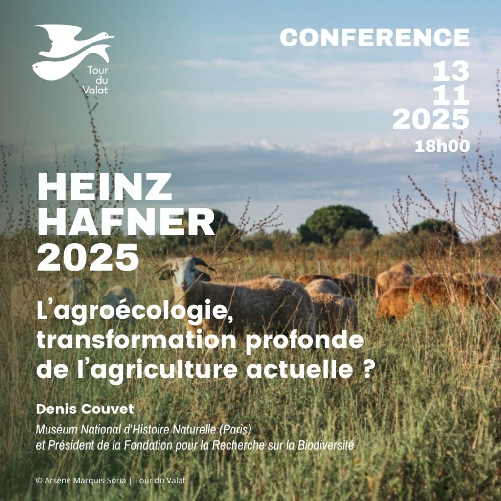Conférence Heinz Hafner 2025 I 13 novembre I Denis Couvet – Tour du Valat